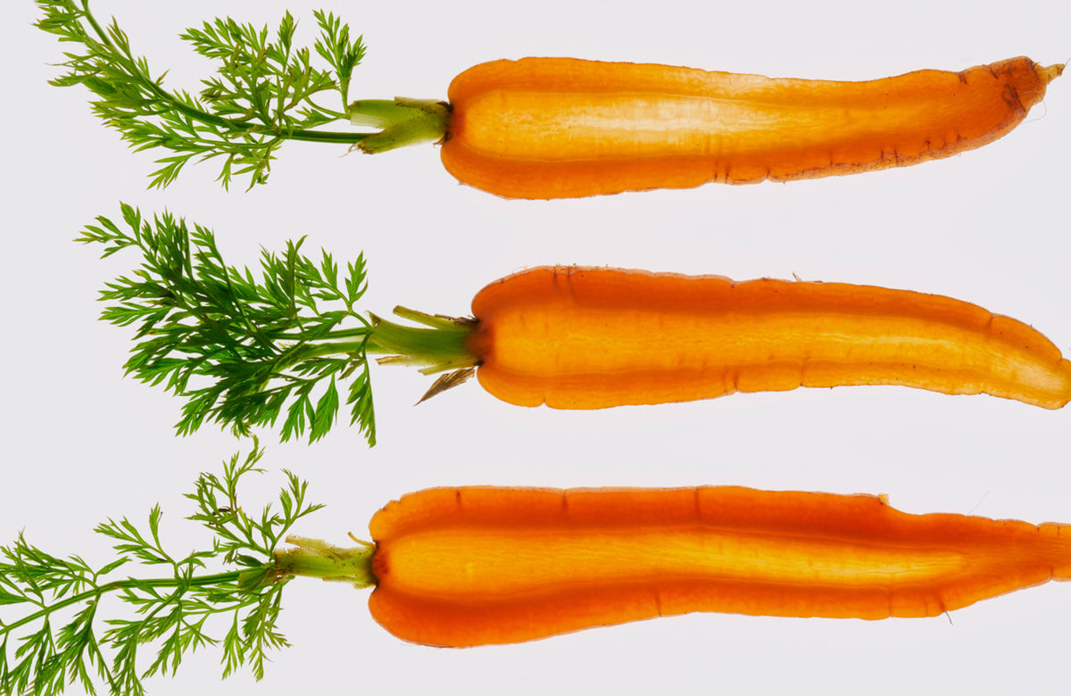 REMEDY for body bumps – Remedy Science by Dr. Muneeb Shah