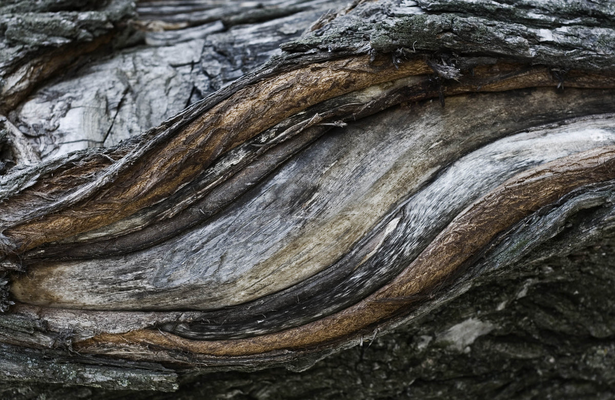 REMEDY for pore size – Remedy Science by Dr. Muneeb Shah