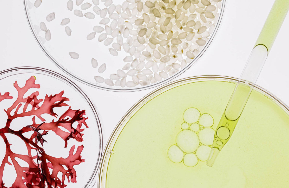 REMEDY for rich moisture – Remedy Science by Dr. Muneeb Shah